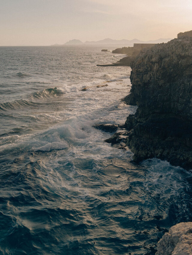 Romain Prochain - Beaumonde Paris